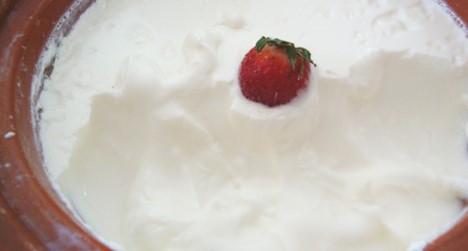 The Essence of Authentic Yogurt Making at Home | Miriam's Earthen Cookware